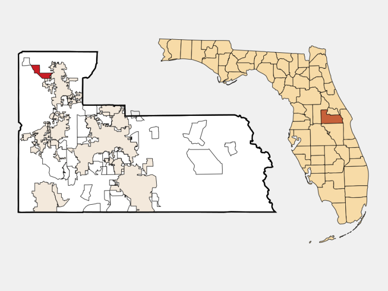 Zellwood FL Geographic Facts Maps MapSof