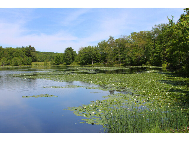 Mountain Top, PA - Geographic Facts & Maps - MapSof.net